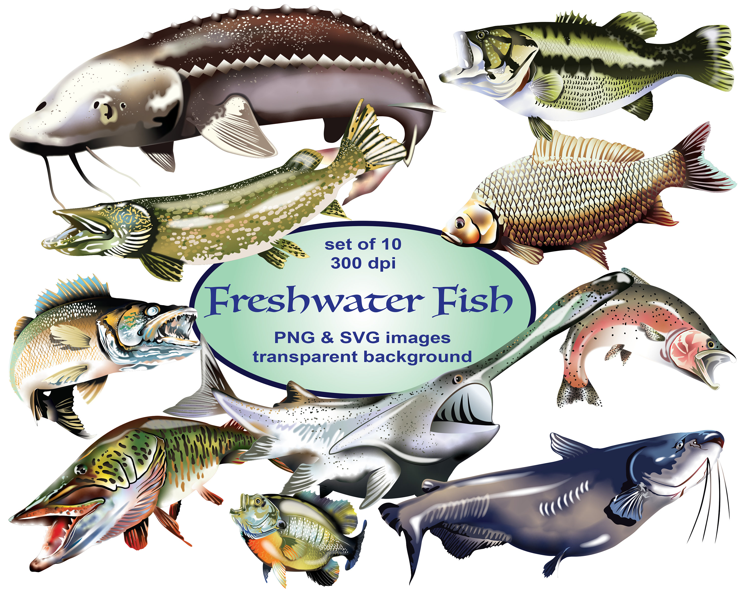 Freshwater Fishing Art