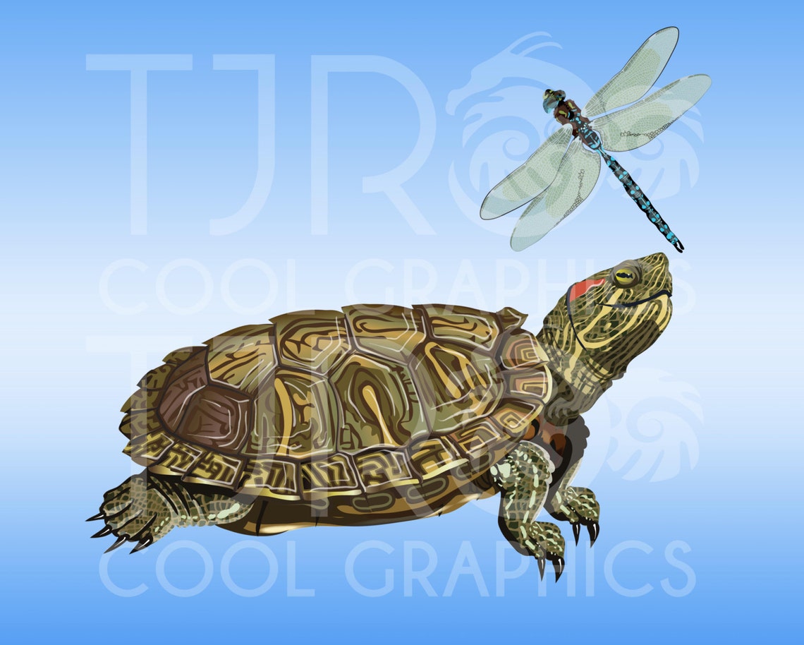 Pond Life Animals Clip Art SVG Clipart Fish Clipart Birds - Etsy