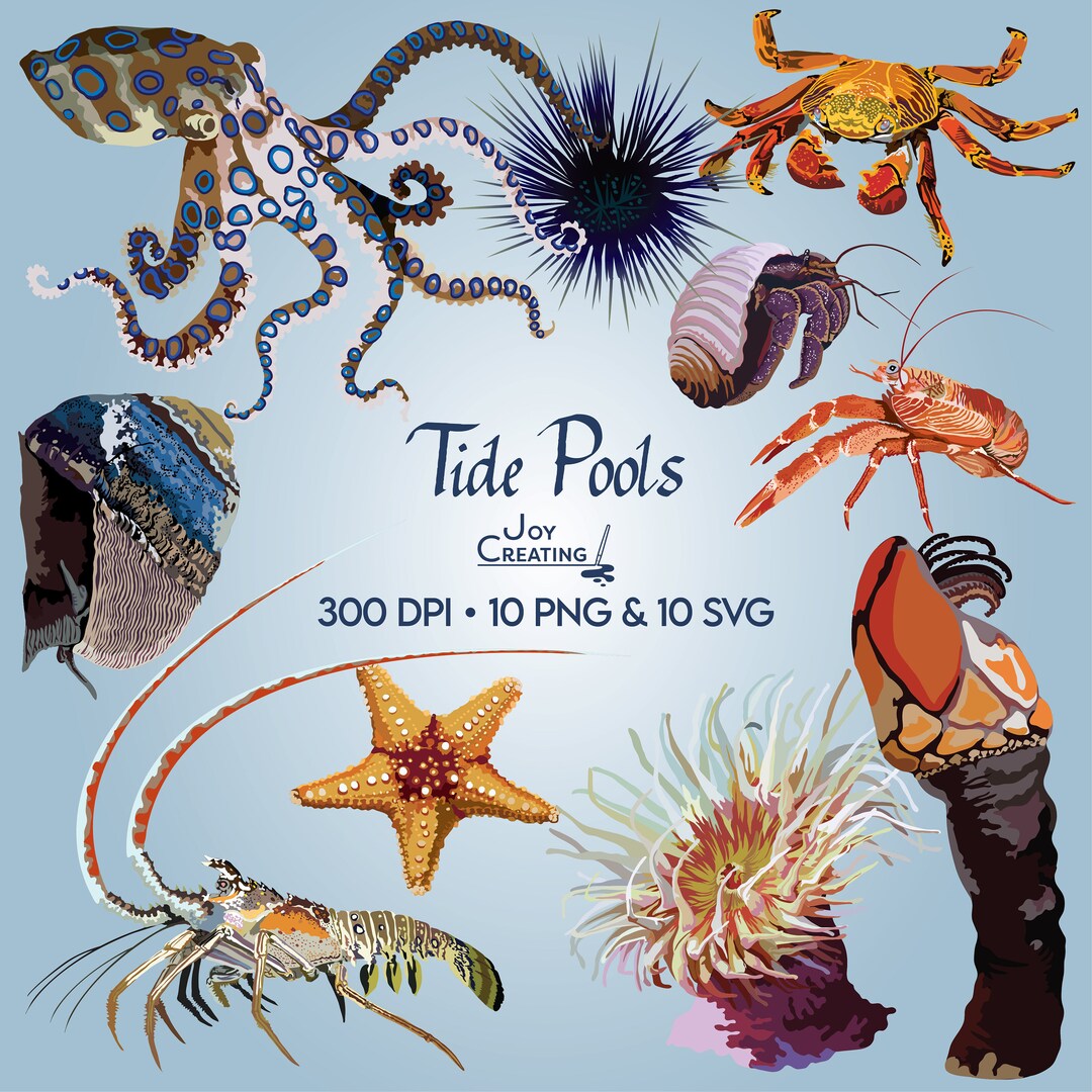 Ocean Animals Clip Art, Octopus Clipart, SVG Clipart, PNG, Printable ...