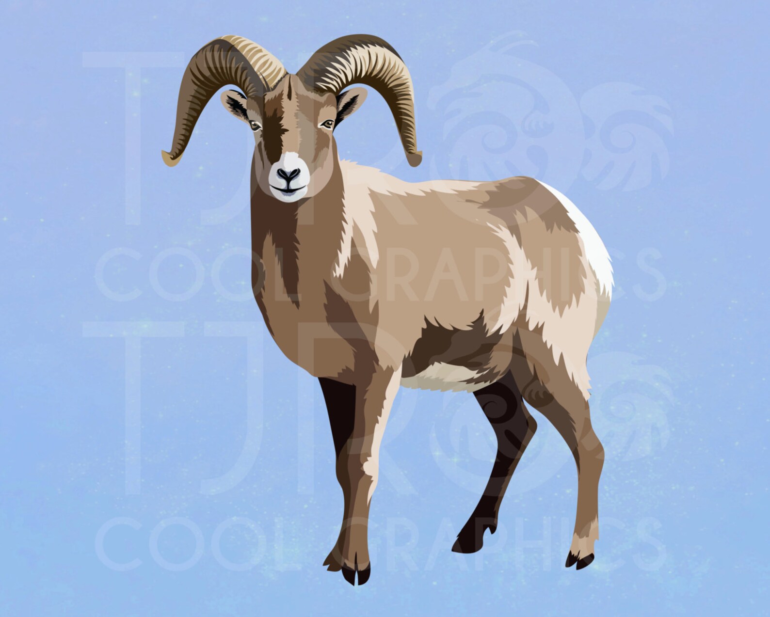 Animals Clipart North American Animals SVG Clip Art Bear - Etsy