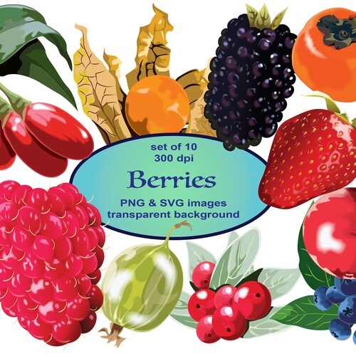 Berries Clipart Fruits Clip Art Strawberry Blueberry Raspberry | Etsy