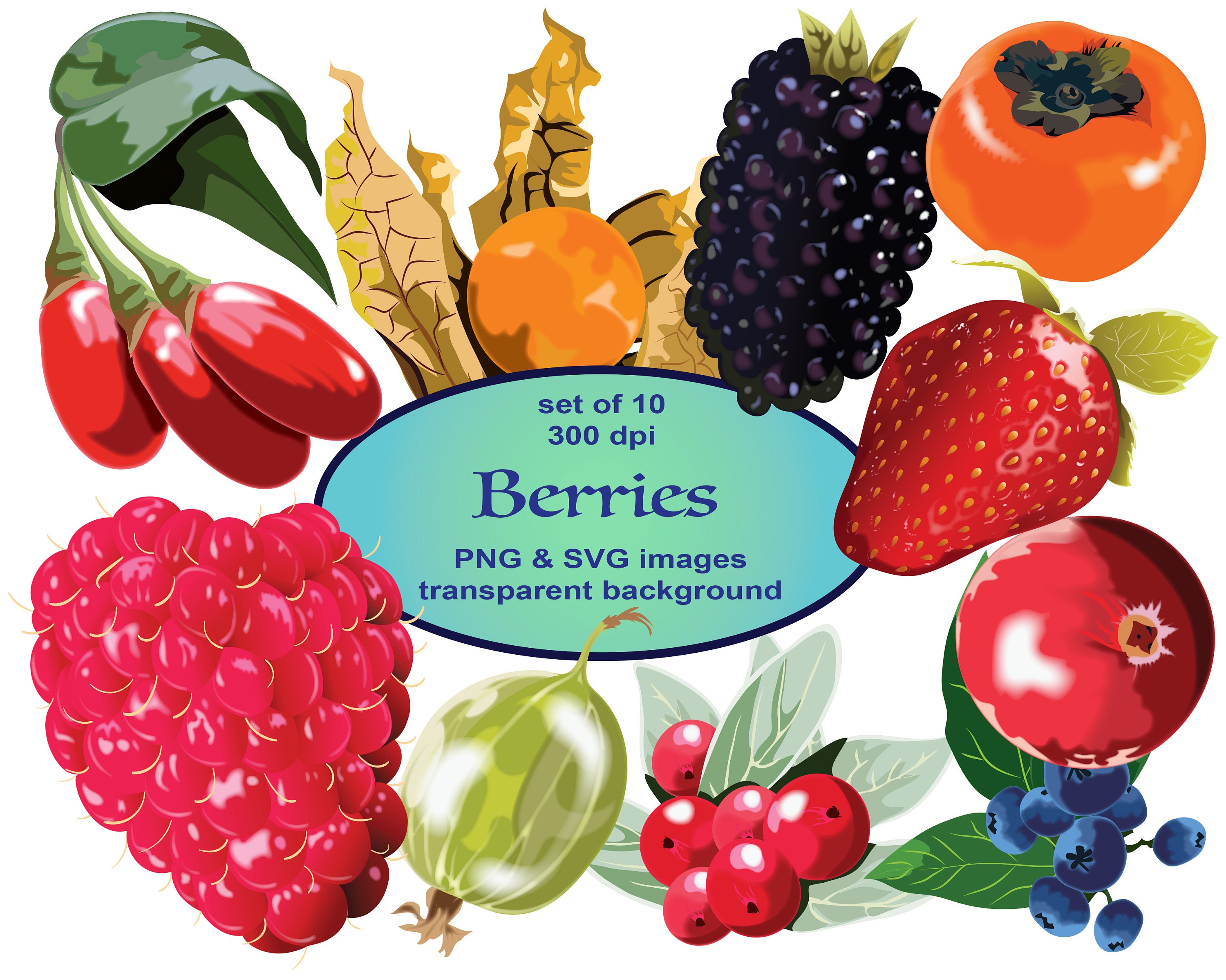 Berries Clip Art SVG Clipart Food Clipart Fruit Clip Art - Etsy