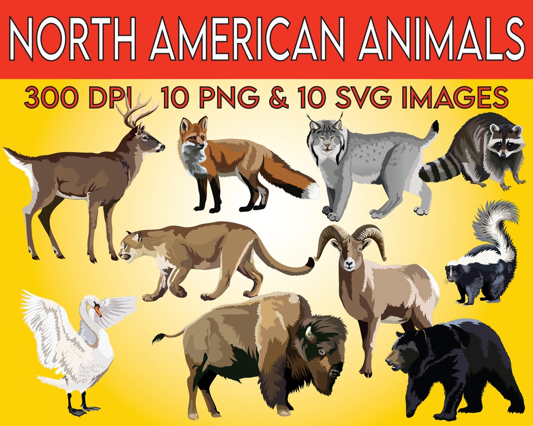Animals Clipart, North American Animals, SVG Clip Art, Bear Clipart ...