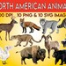 Animals Clipart, North American Animals, SVG Clip Art, Bear Clipart ...