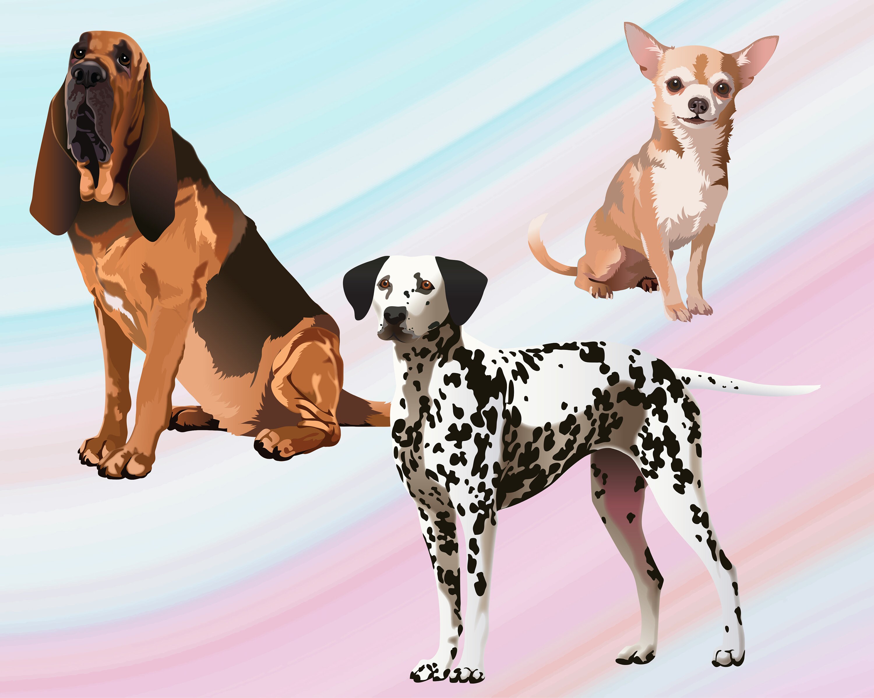 Dogs Clip Art Pets Clipart SVG Clipart Animals Clipart | Etsy Canada