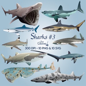 Sharks Clip Art, Ocean Clip Art, Fish Clipart, Animals Clipart, SVG ...