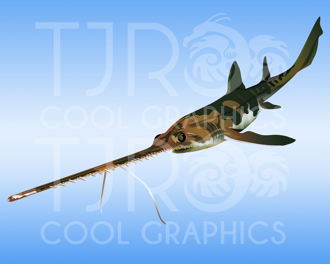 Sharks Clip Art Ocean Clip Art Fish Clipart Animals - Etsy