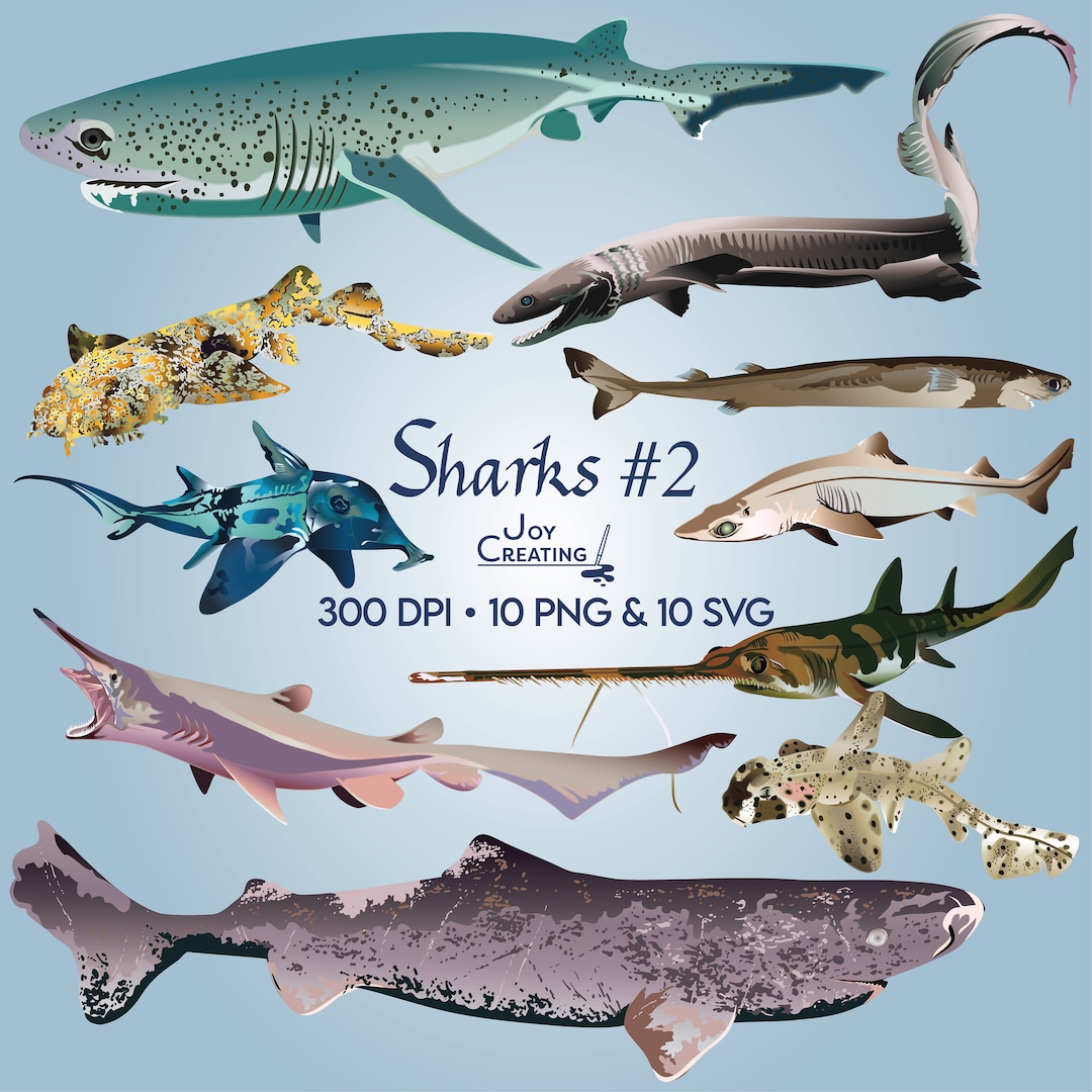 Sharks Clip Art, Ocean Clip Art, Fish Clipart, Animals Clipart, SVG ...