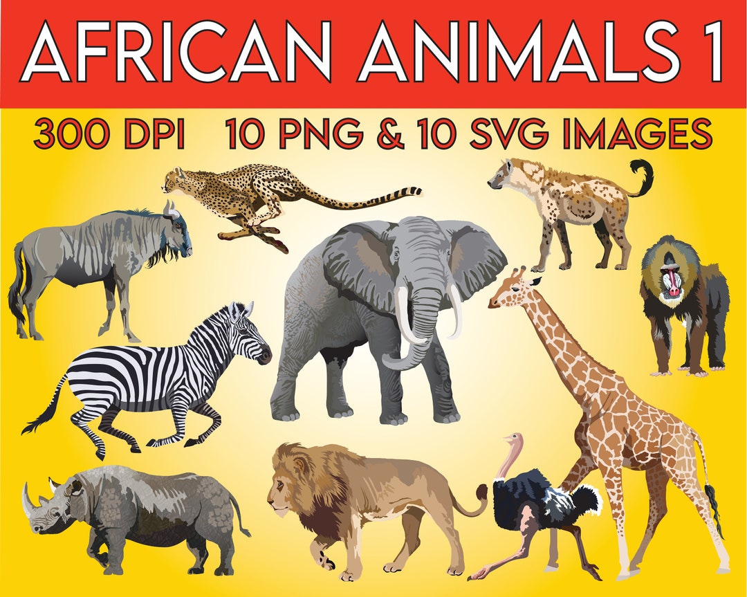 African Animals Clipart, SVG Clipart, PNG, Elephant Clipart, Ostrich ...