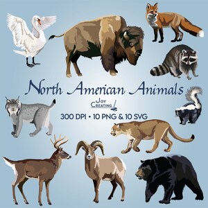 Animals Clipart, North American Animals, SVG Clip Art, Bear Clipart ...