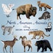 Animals Clipart, North American Animals, SVG Clip Art, Bear Clipart ...
