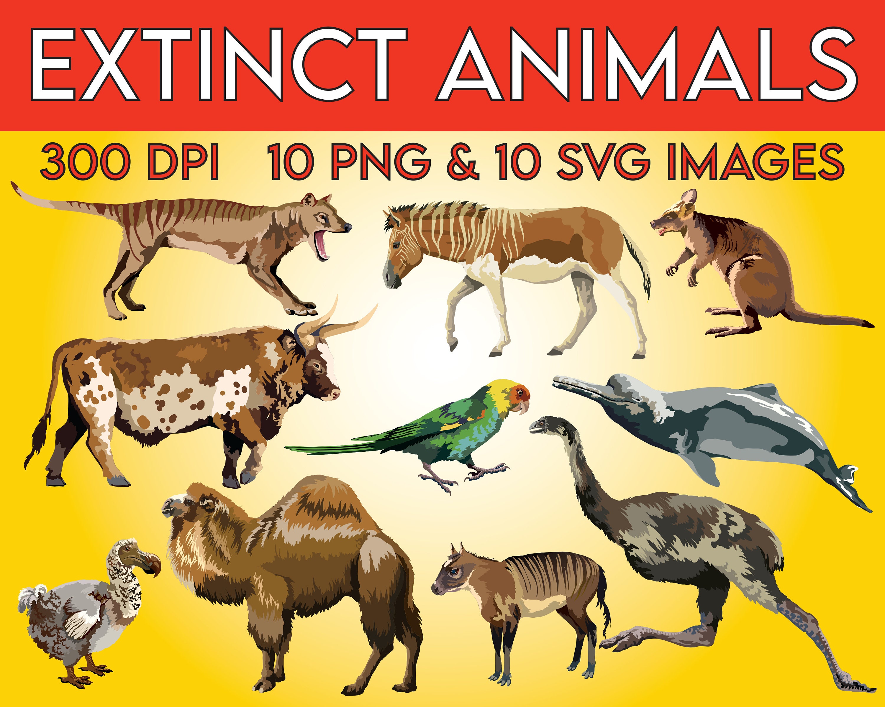 Recently Extinct Animals And Birds