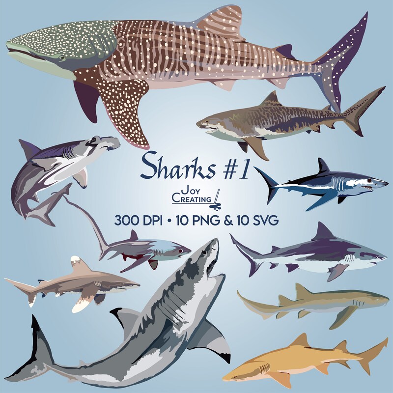 Shark Clipart - Etsy