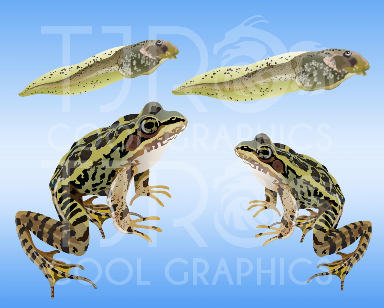 Pond Life Animals Clip Art SVG Clipart Fish Clipart Birds - Etsy