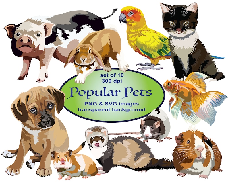 Popular Pets Clip Art Animals Clipart Dogs Clipart Cats | Etsy
