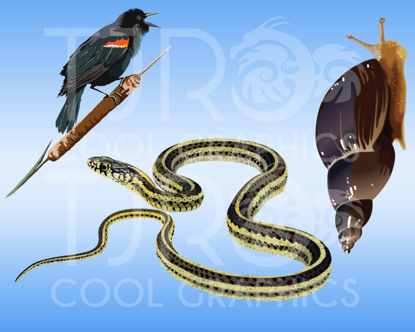 Pond Life Animals Clip Art SVG Clipart Fish Clipart Birds - Etsy