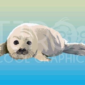Seals Clip Art, Animals Clipart, Ocean Clipart, SVG Clipart, PNG ...