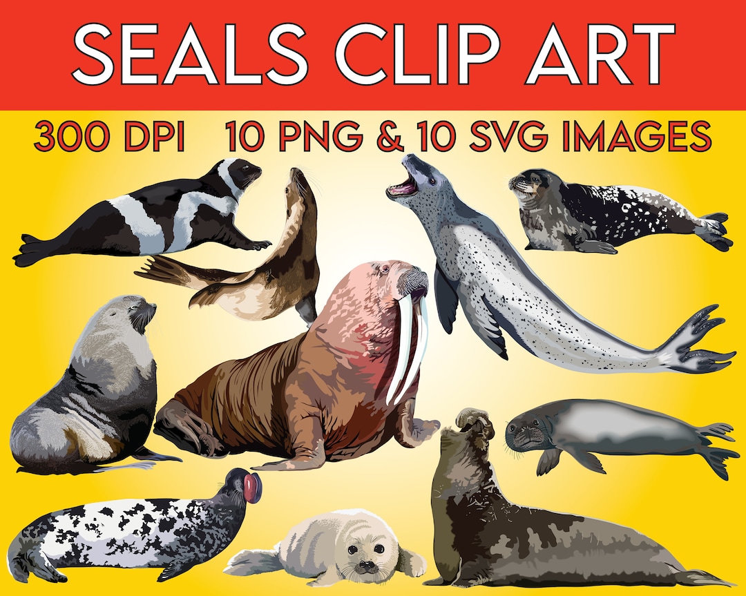 Seals Clip Art Animals Clipart Ocean Clipart SVG Clipart - Etsy Canada