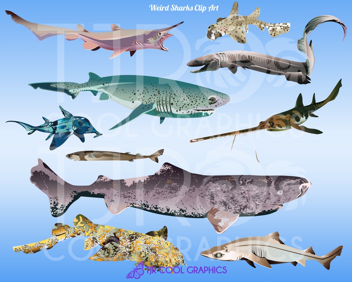 Sharks Clip Art Ocean Clip Art Fish Clipart Animals - Etsy