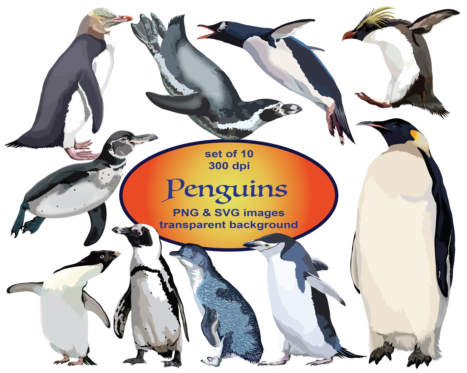 Penguins Clip Art Birds Clip Art Animals Clipart SVG - Etsy