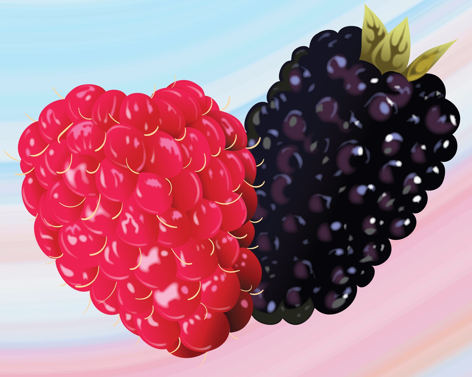 Berries Clip Art SVG Clipart Food Clipart Fruit Clip Art - Etsy