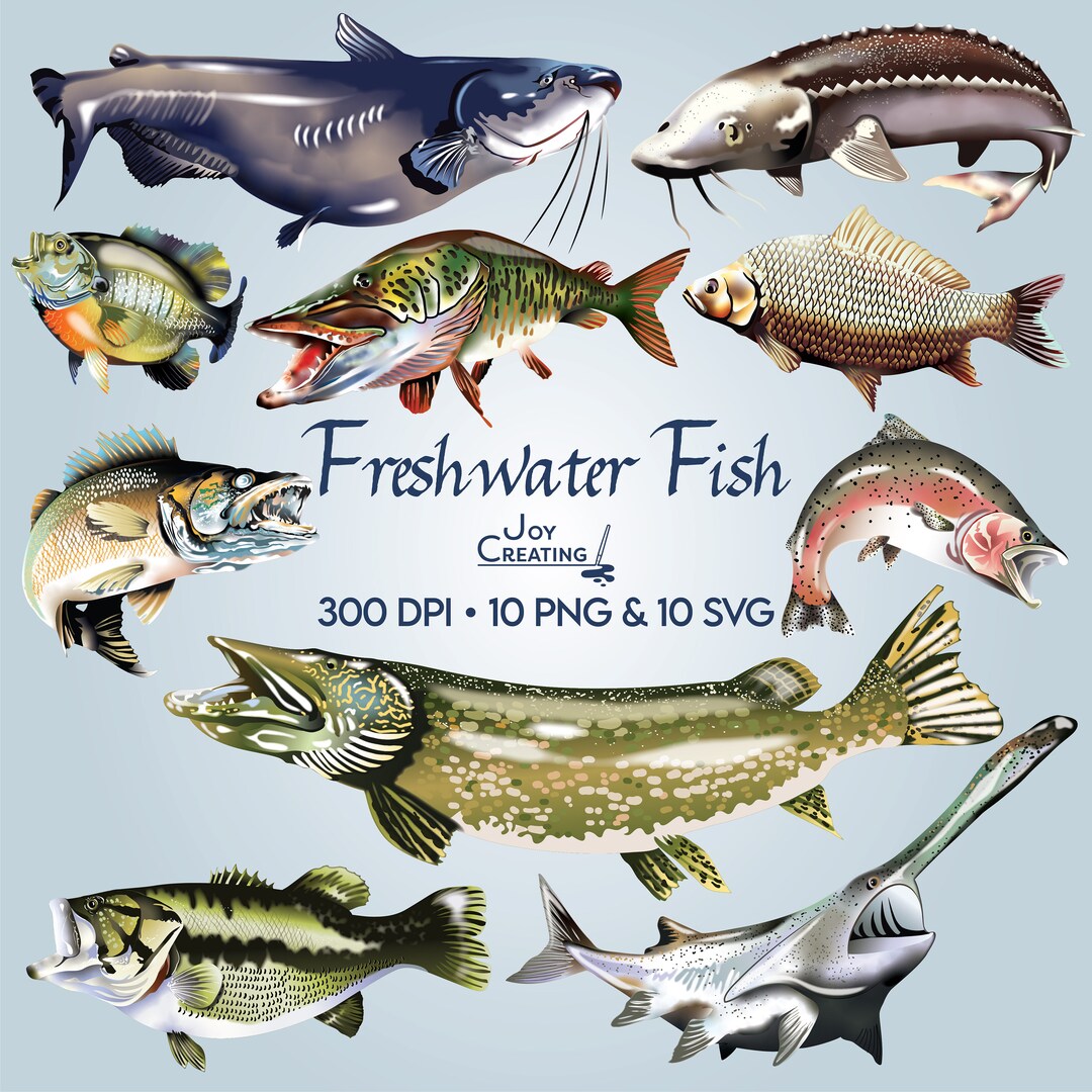 Fishing SVG Freshwater Fish - Etsy UK