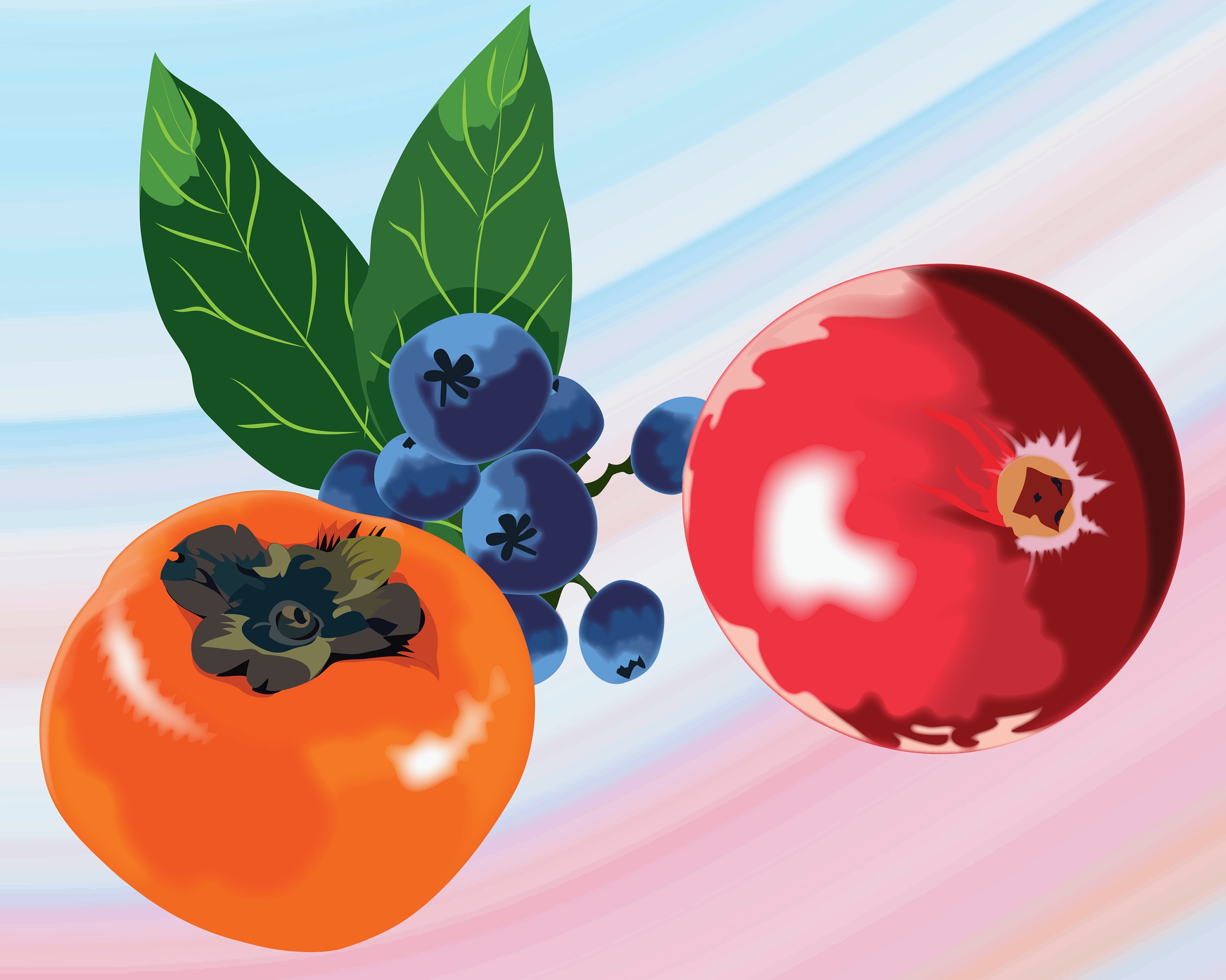 Berries Clip Art SVG Clipart Food Clipart Fruit Clip Art - Etsy