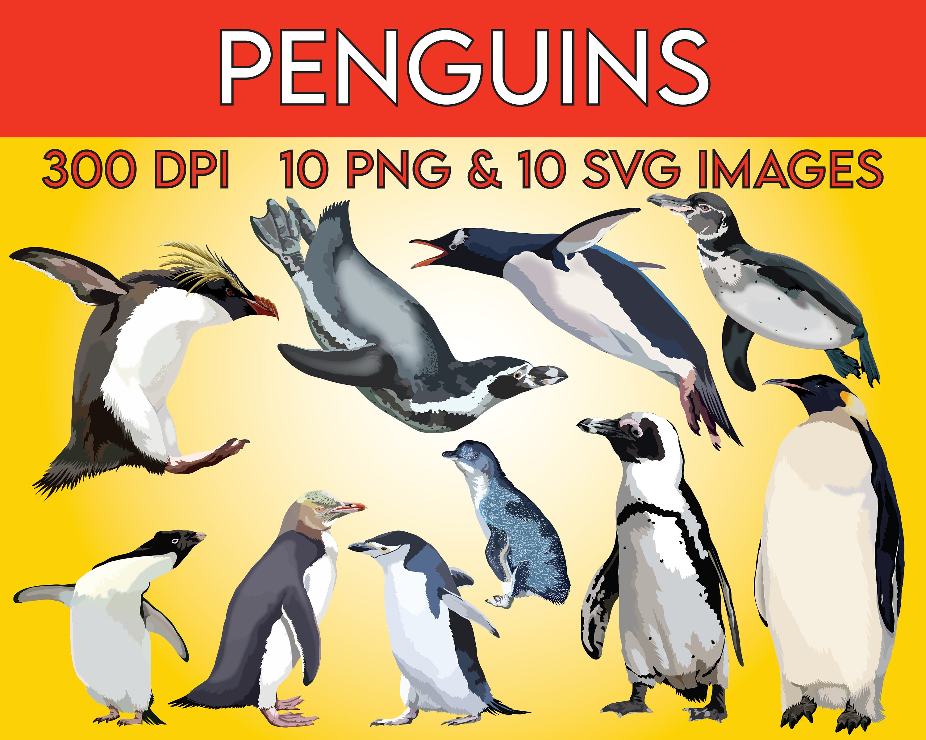 Chinstrap Penguin Clip Art