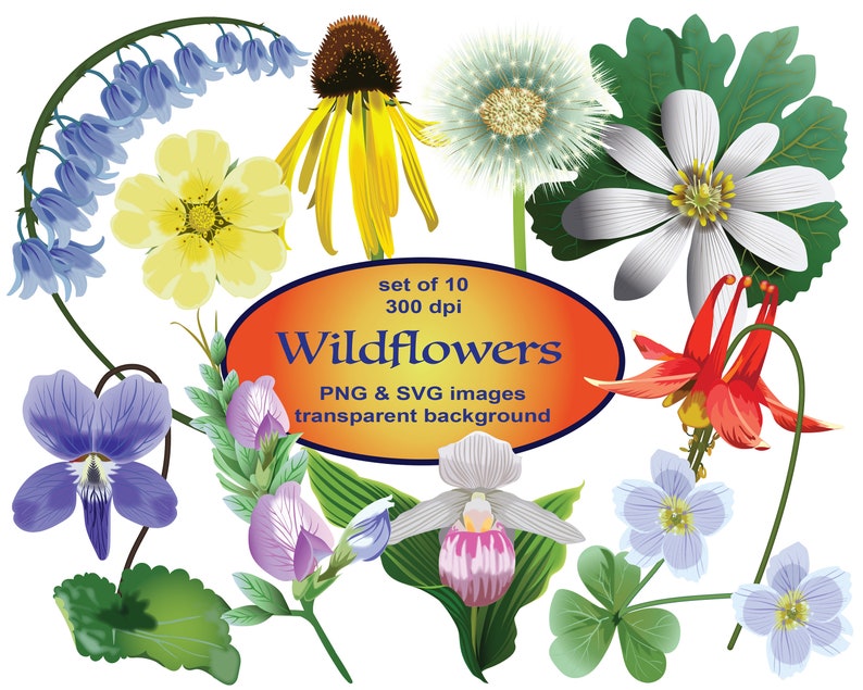 Wildflowers Clipart Flowers Clipart SVG Clipart PNG - Etsy