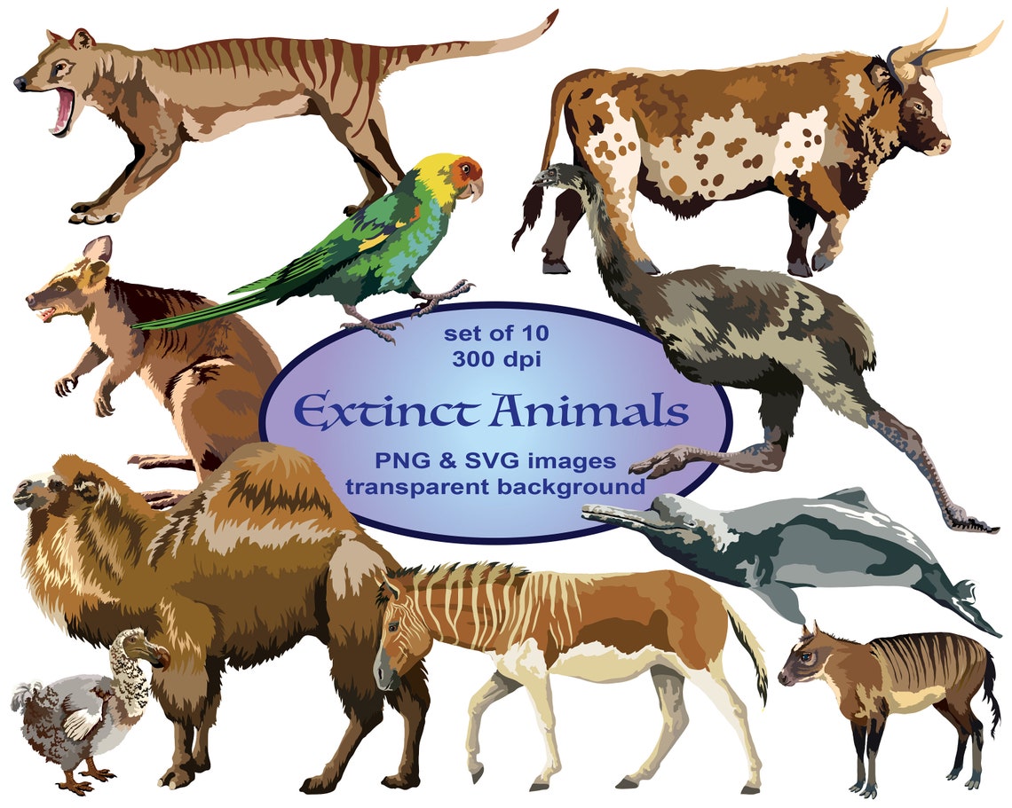 Extinct Animals Clipart Birds Clip Art SVG Clip Art - Etsy México