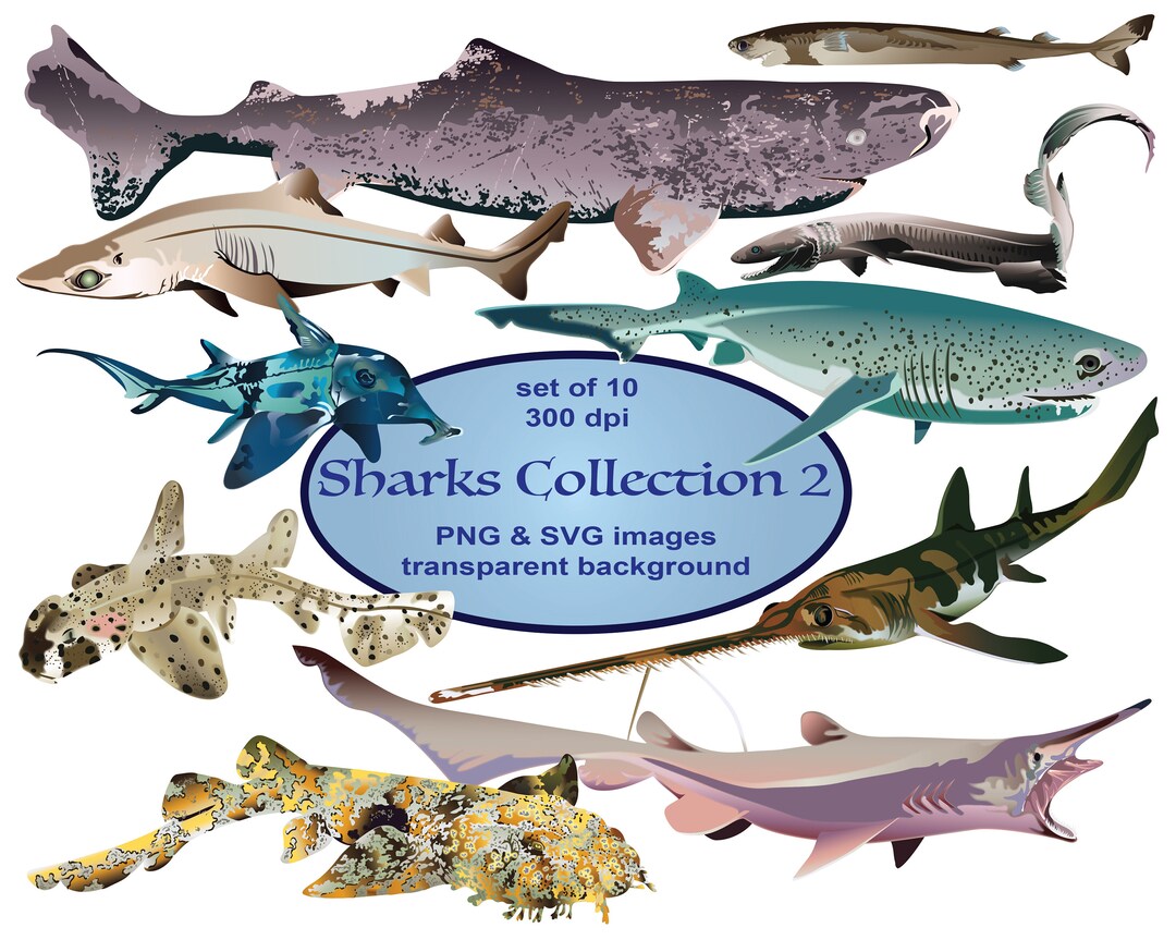 Sharks Clip Art Ocean Clip Art Fish Clipart Animals - Etsy
