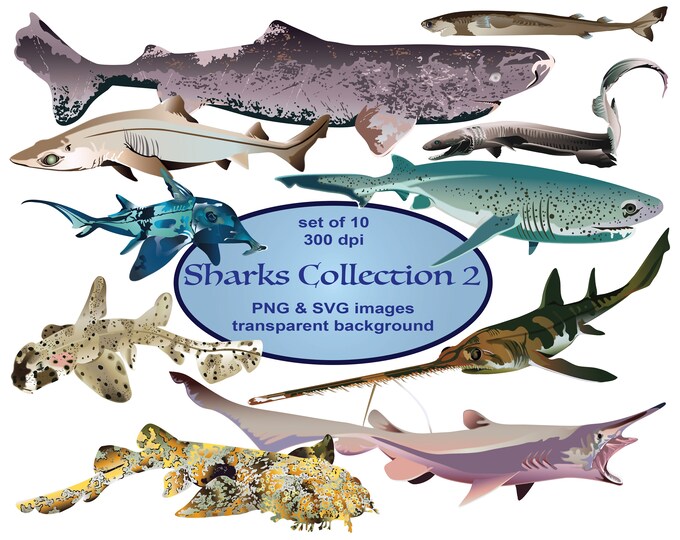 Sharks Clip Art Ocean Clip Art Fish Clipart Animals - Etsy