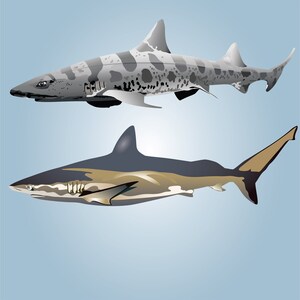 Sharks Clip Art, Ocean Clip Art, Fish Clipart, Animals Clipart, SVG ...