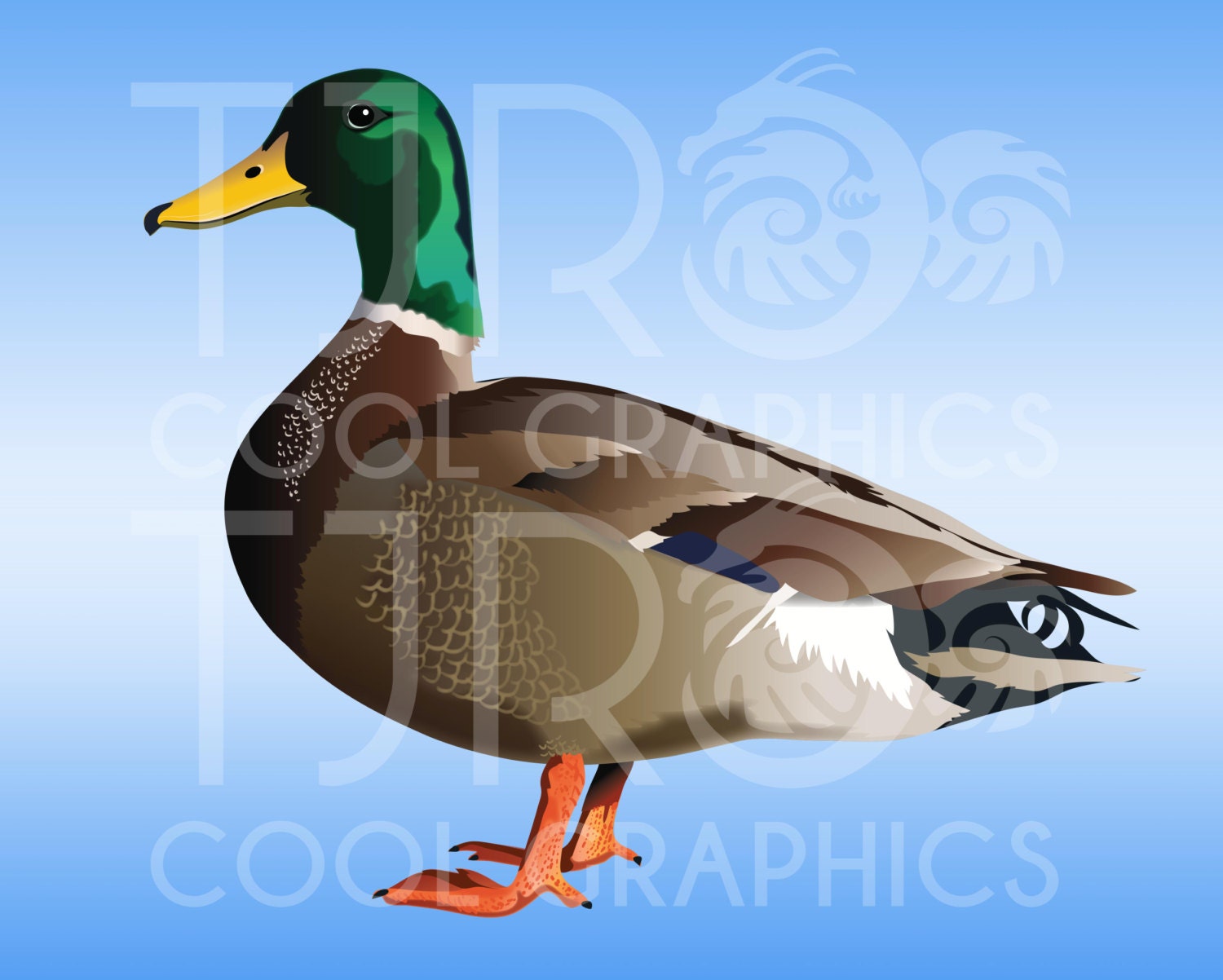 Pond Life Animals Clip Art SVG Clipart Fish Clipart Birds - Etsy