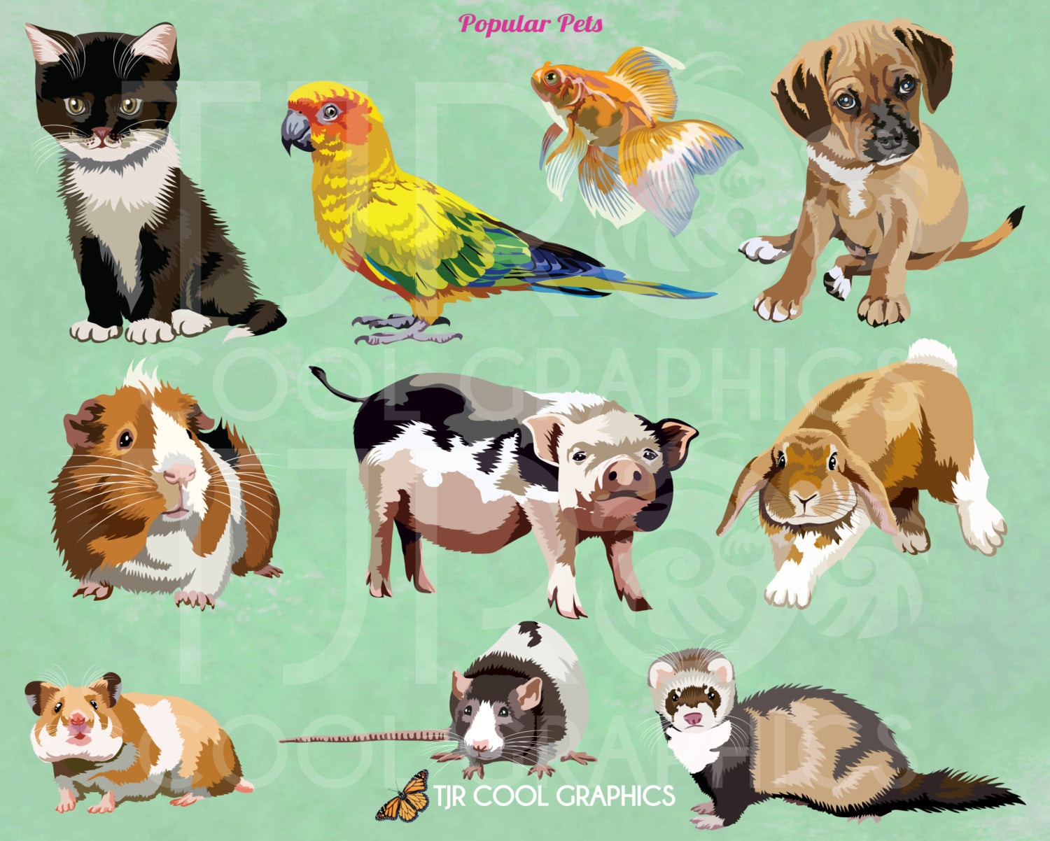 Popular Pets Clip Art Animals Clipart Dogs Clipart Cats - Etsy