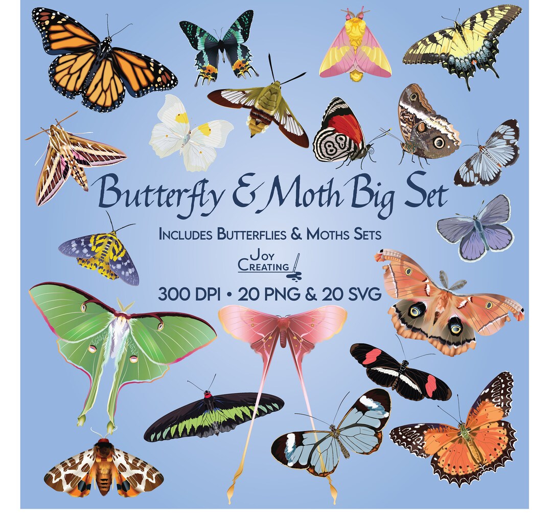 Butterflies and Moths Clip Art, Animal Clip Art, SVG Clipart - Etsy