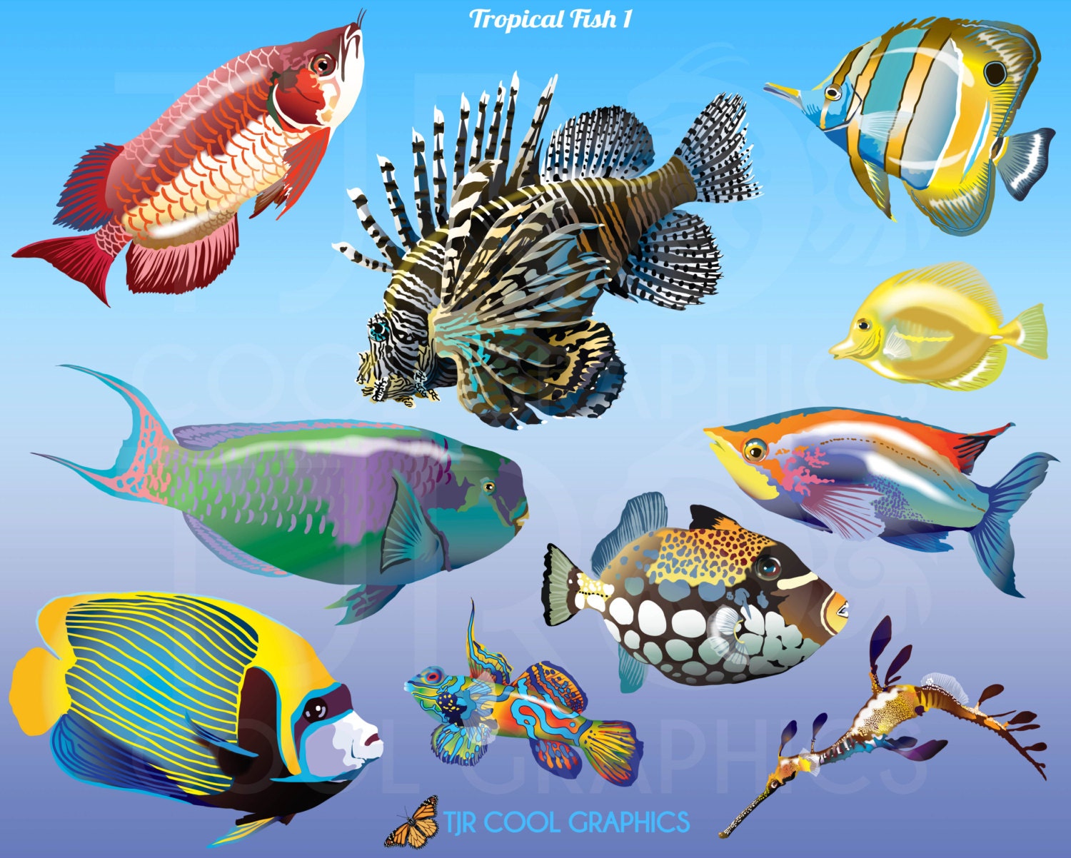 Tropical Fish Clip Art Animal Clip Art Ocean Clip Art - Etsy