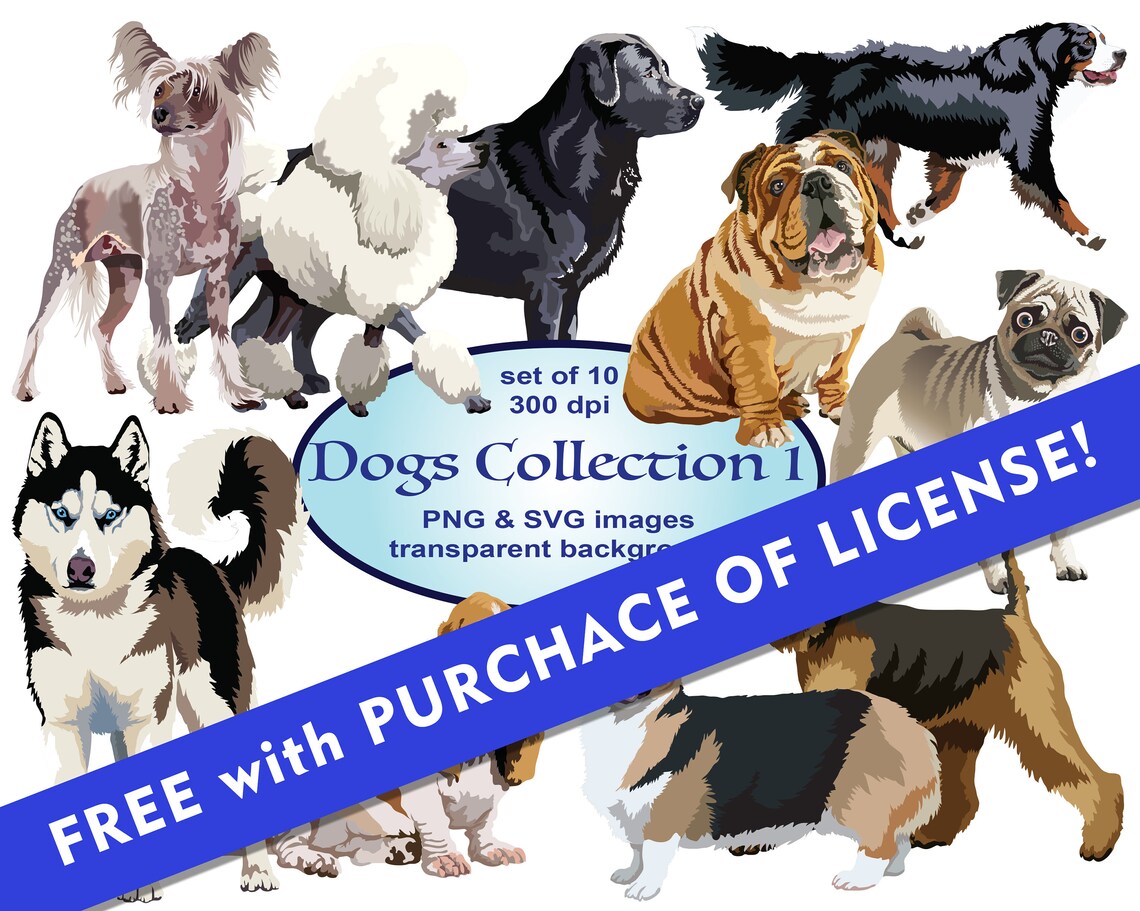 Unlimited Commercial Digital Use License: Clip Art Only FREE | Etsy