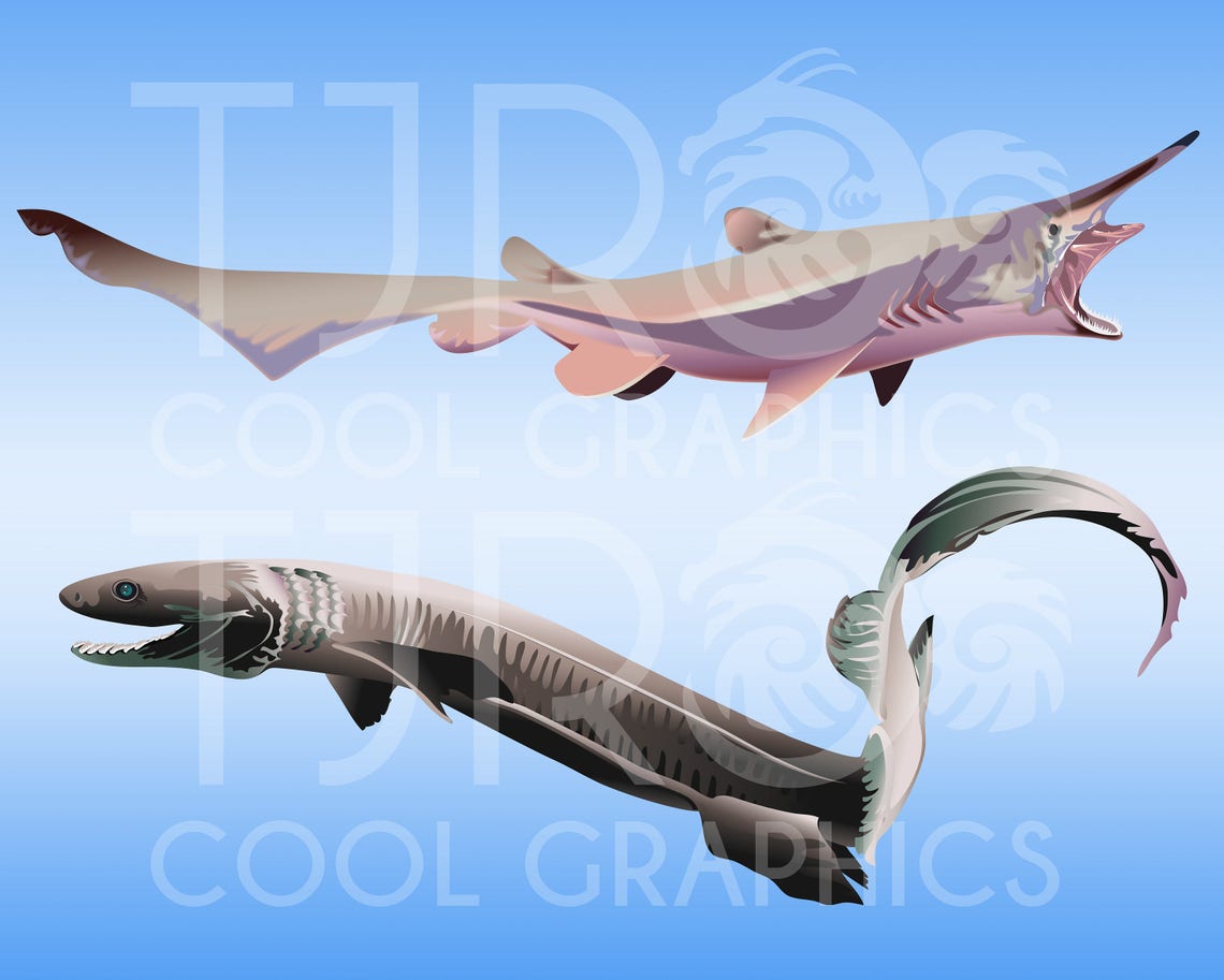 Sharks Clip Art Ocean Clip Art Fish Clipart Animals - Etsy