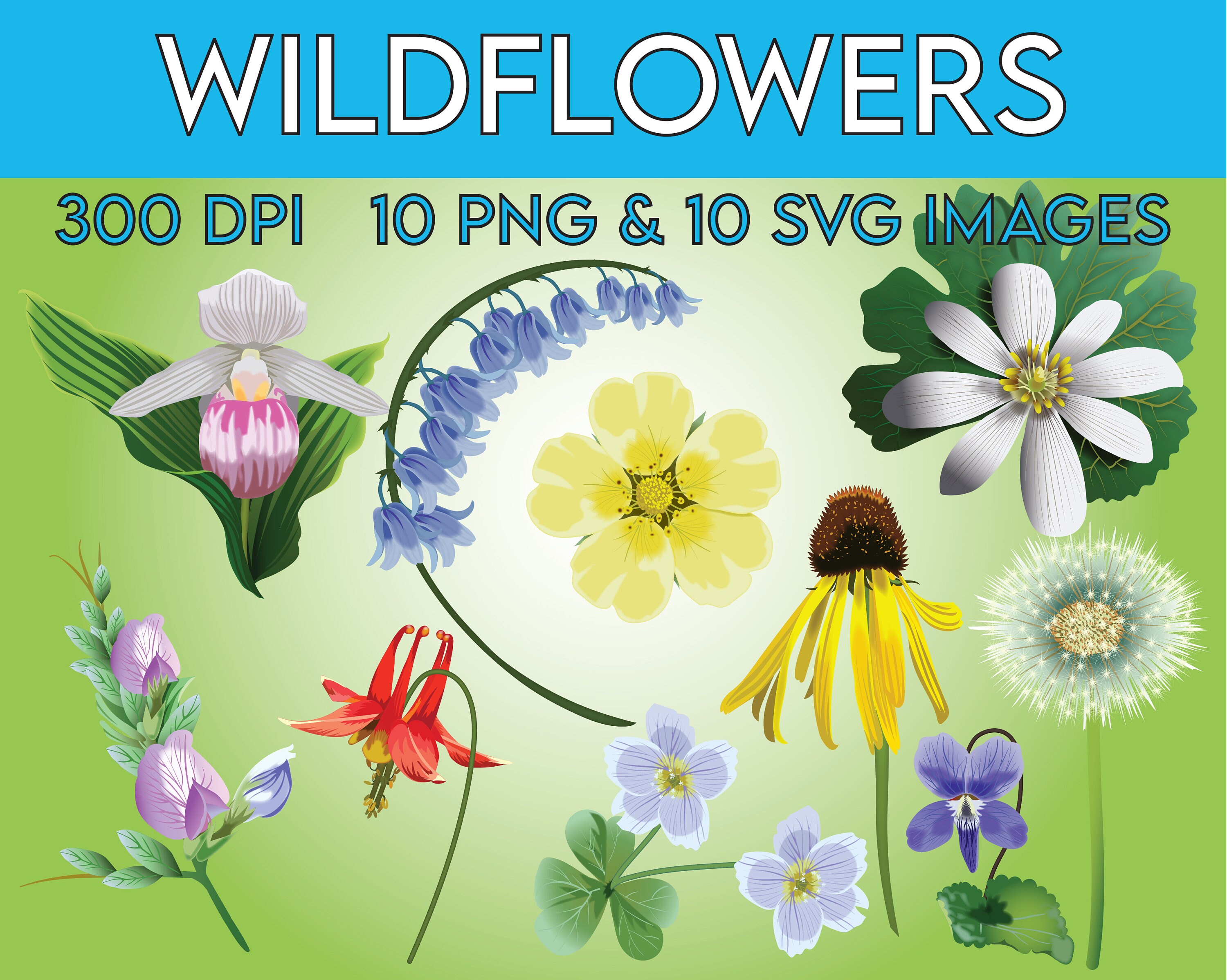 Free Flower Clipart For Teachers