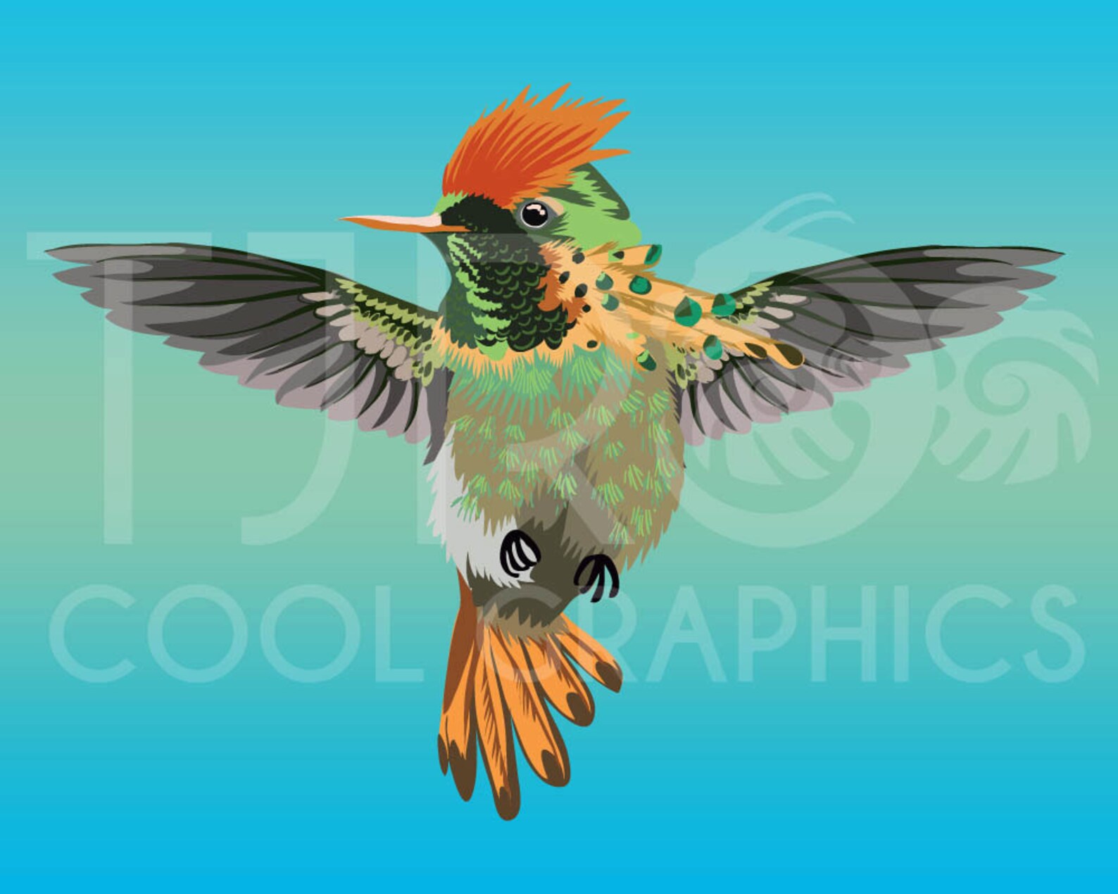 Hummingbird Clipart Birds Clipart Animals Clipart SVG Clip | Etsy