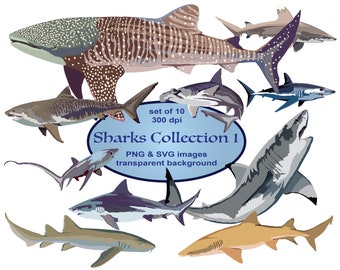 Whale Shark Clip Art - Etsy