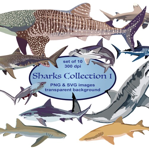 SHARKS CLIP Art Shark Attack Digital Clipart Sharks Fish - Etsy