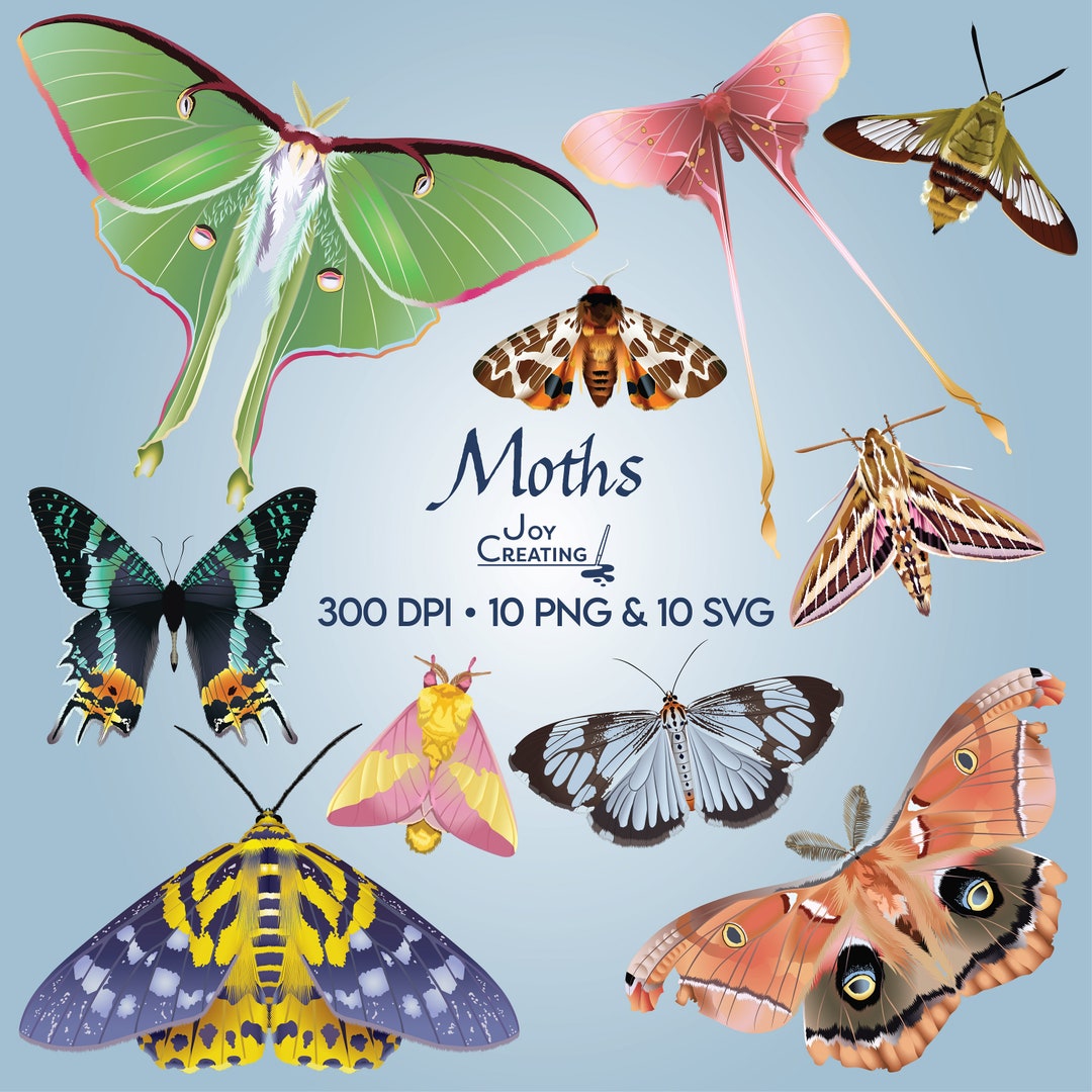 Moth Clip Art, Butterfly Clipart, SVG Clip Art, PNG, Animals Clipart ...