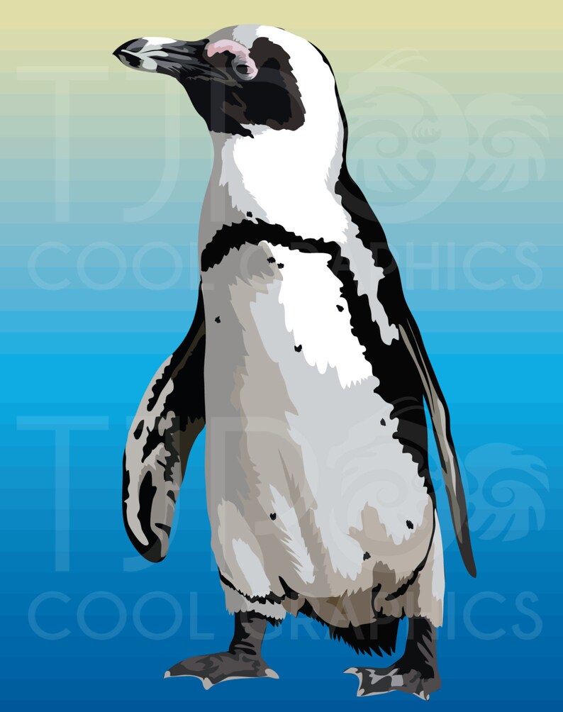 Penguins Clip Art Birds Clip Art Animals Clipart SVG | Etsy