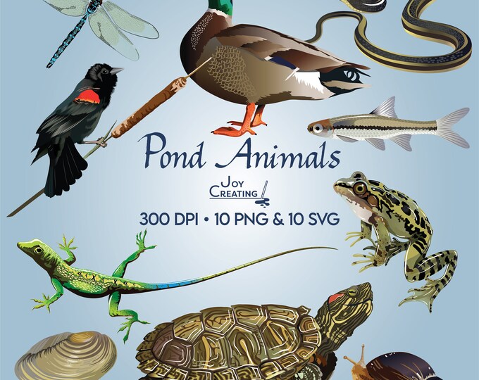 Pond Life Animals Clip Art, SVG Clipart - Etsy