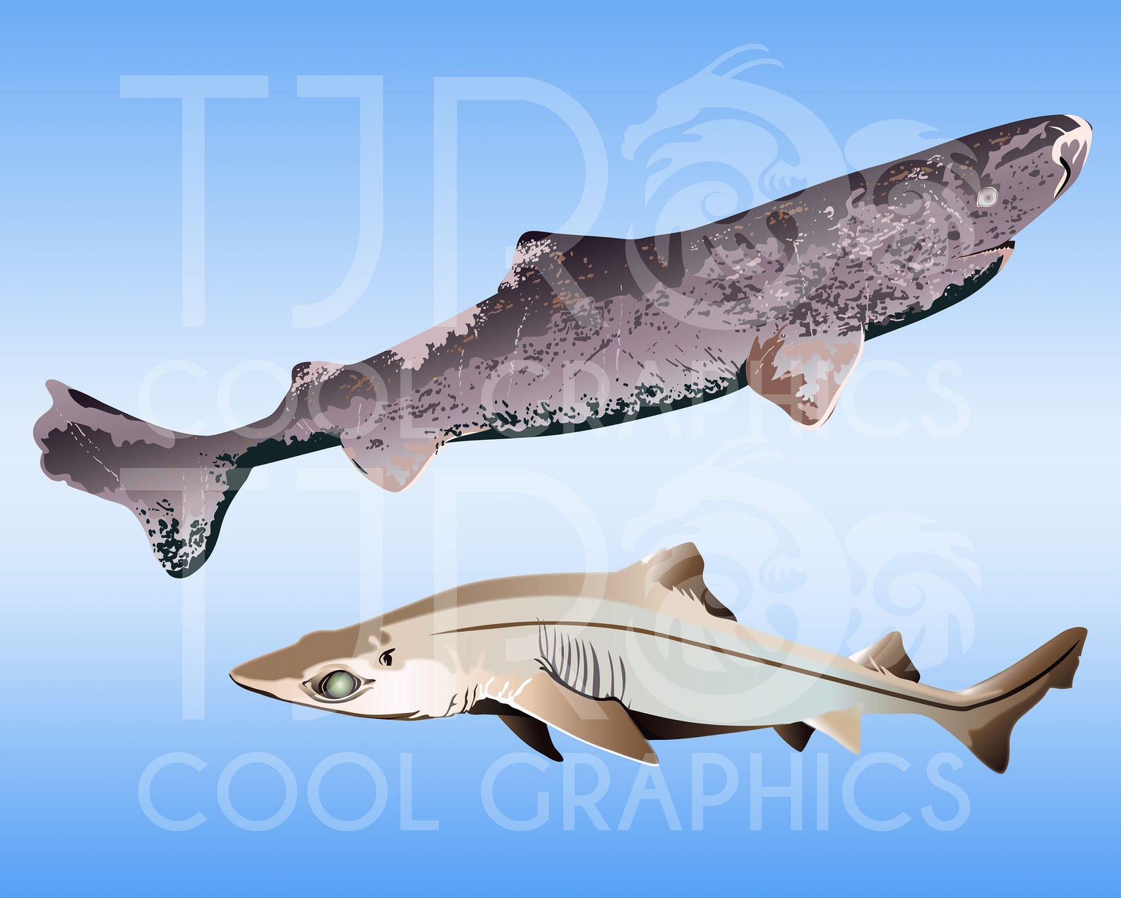 Sharks Clip Art Ocean Clip Art Fish Clipart Animals - Etsy