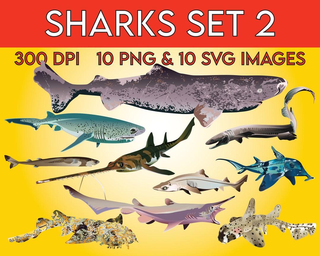 Sharks Clip Art Ocean Clip Art Fish Clipart Animals - Etsy
