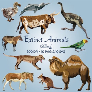 Extinct Animals Clipart, Birds Clip Art, SVG Clip Art, Commercial, Dodo ...