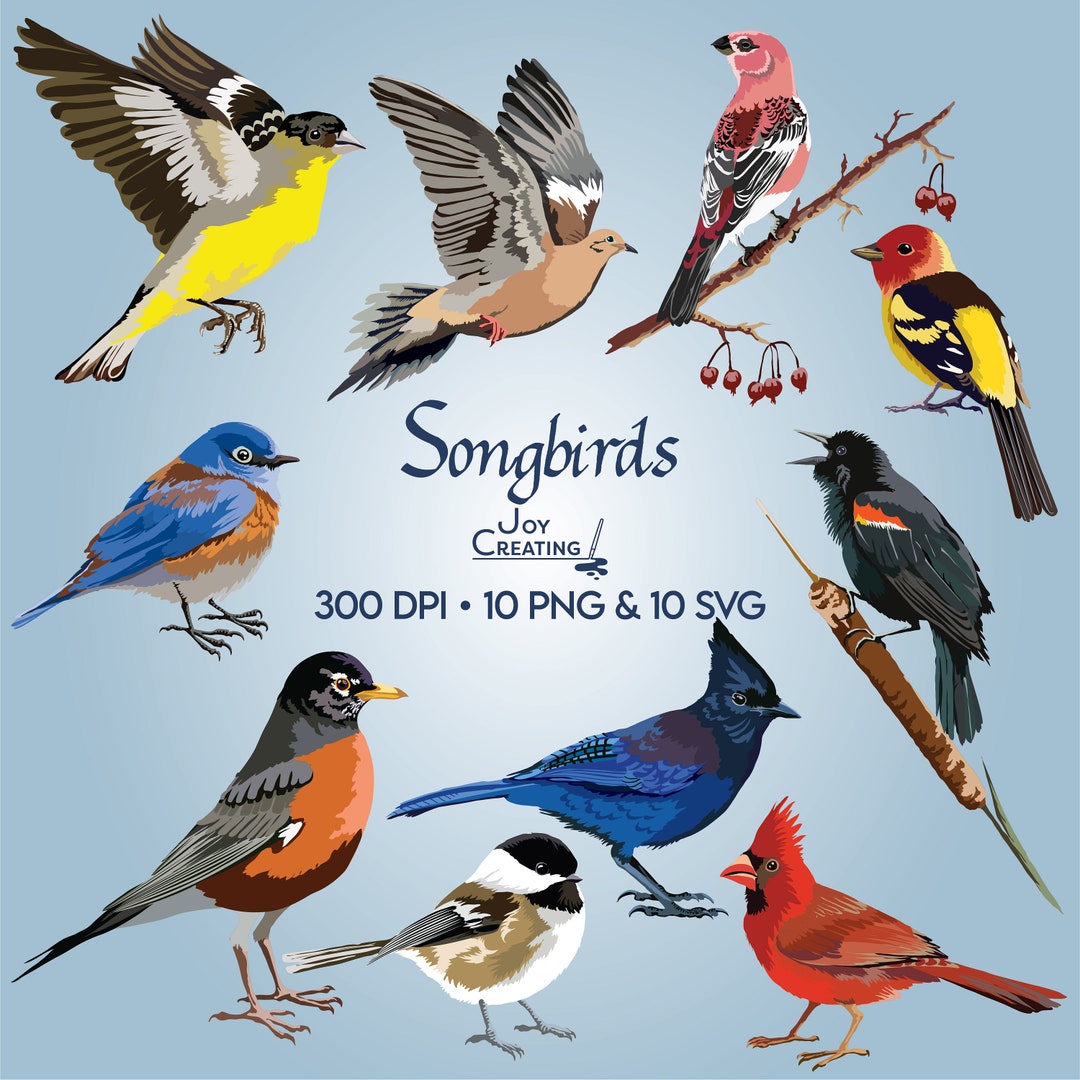 Songbird Clipart: PNG & SVG Graphics (digital Download) - Etsy